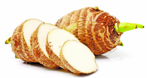 THE CHARMS OF ARBI AT THE TAJ VIVANTA! - Goan Observer